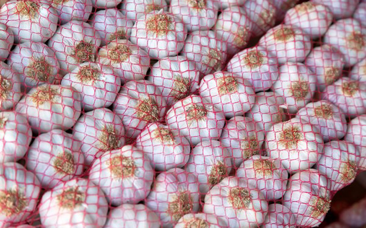 Ajo Morado de las Pedroñeras augura una buena campaña - AgroCLM