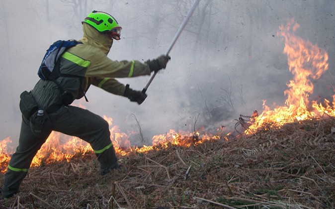 CSIF exige la creación del ‘Estatuto Básico del Bombero Forestal’ - AgroCLM
