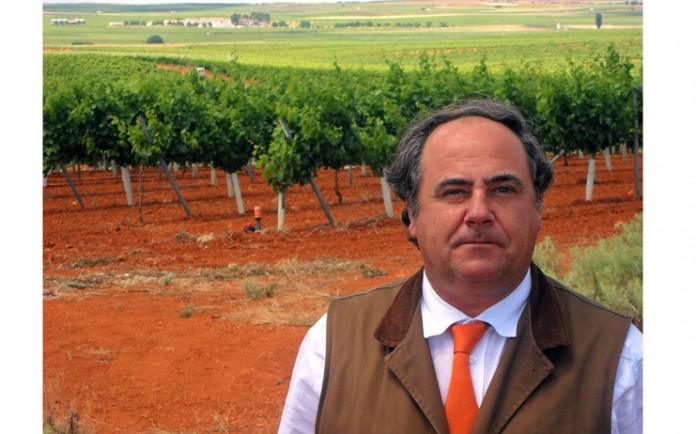 Fenavin 2017 acogerá el doble de bodegas ecológicas que anterior ...