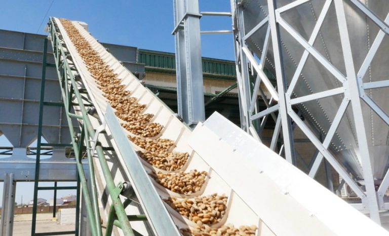 2025 comienza con subidas y repeticiones de precios de almendra y ...