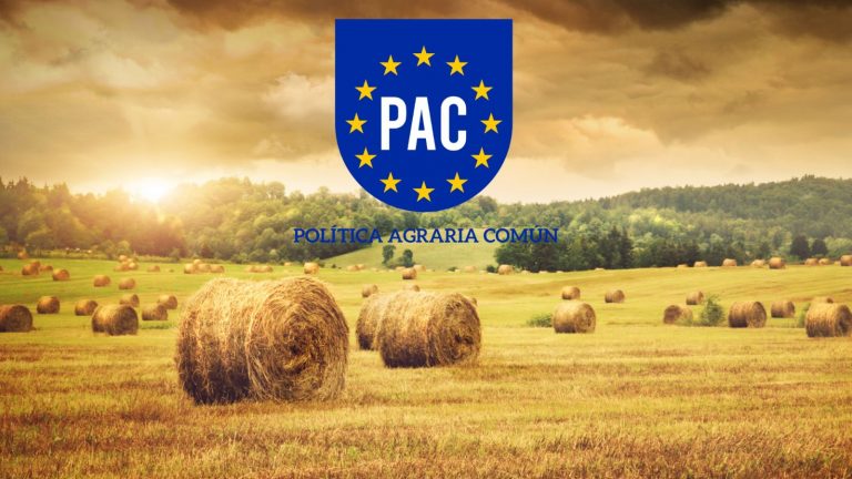 Fechas exactas del calendario de pagos de la campaña PAC 2024 - AgroCLM