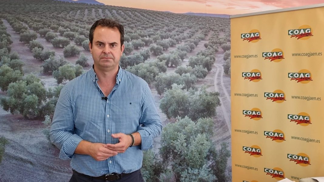 Opinión. El único camino: unidos y fuertes. Juan Luis Ávila. Secretario ...